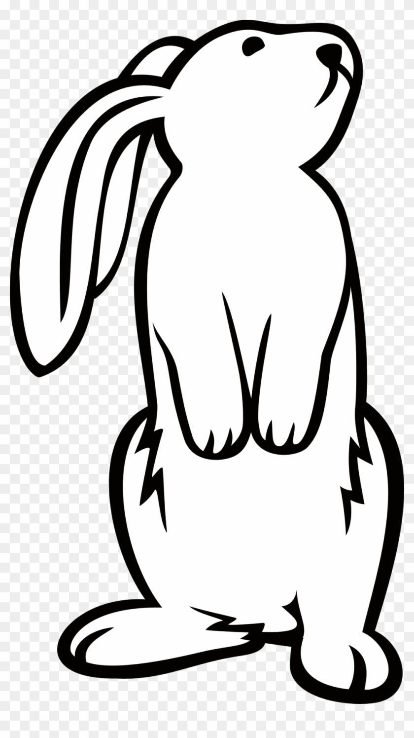 how to draw standing rabbit