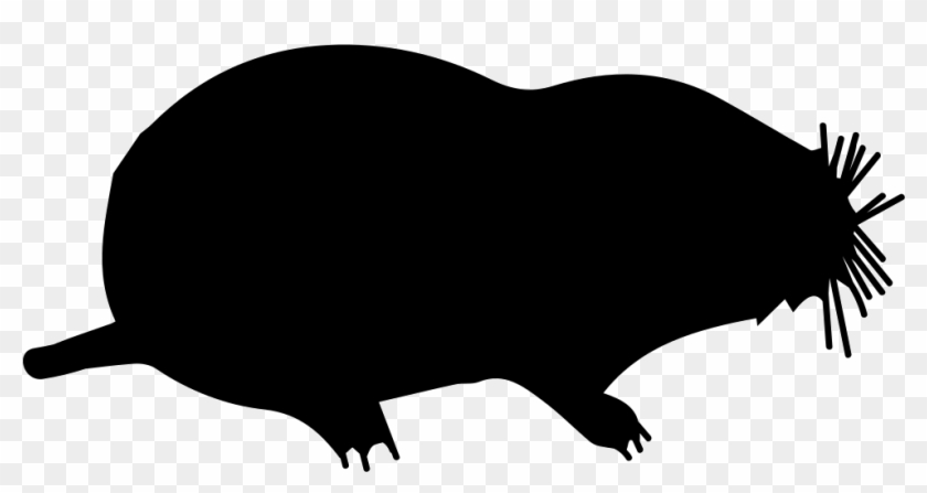 Mole Mammal Animal Shape Svg Png Icon Free Download - Icon - Full Size ...