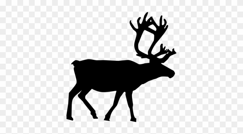 Reindeer Vector - Free Transparent PNG Clipart Images Download