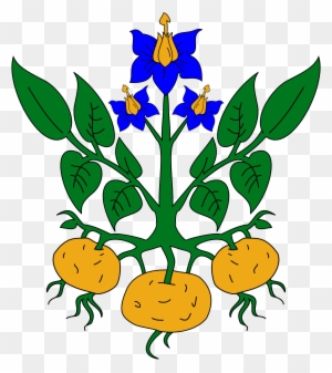 Potato Plant Clip Art