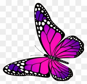 Butterfly Dwts - Butterfly Dwts - Free Transparent PNG Clipart Images ...