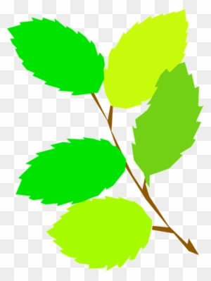 Green Leaves Clip Art