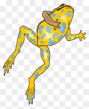 Backwell School Frog Clipart