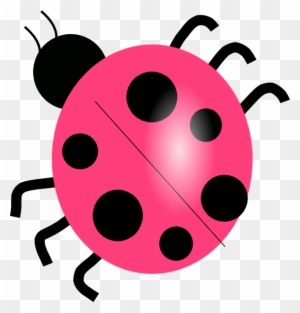 Ladybug, Transparent PNG Clipart Images Free Download - ClipartMax