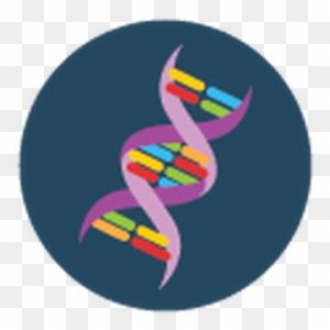 Dna Clipart Animations