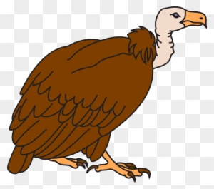Vulture Clipart, Transparent PNG Clipart Images Free Download - ClipartMax