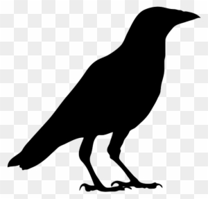 Crow Clipart Crow Bird - Bird Flying Silhouette Png - Free Transparent ...