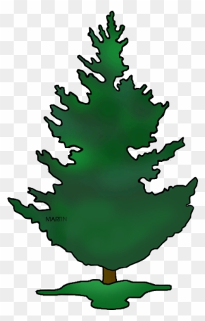 United States Clip Art By Phillip Martin, State Tree - Oregon Tree Clip ...