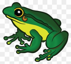 Backwell School Frog Clipart
