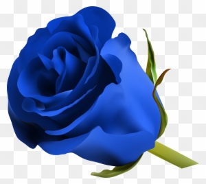 Blue Roses, Transparent PNG Clipart Images Free Download - ClipartMax