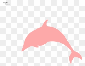 Dolphin Clipart, Transparent PNG Clipart Images Free Download - ClipartMax