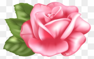 Pink Rose Clip Art, Transparent PNG Clipart Images Free Download ...