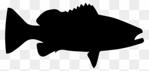 Warsaw Grouper Fish Shape Svg Png Icon Free Download - Portable Network ...