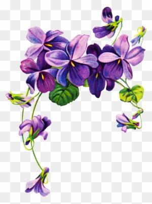 Violet Flower Border Clip Art Purple Flower Wallpaper Border