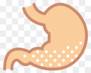 Stomach Anatomy Human Body Biology Science - Cartoon Stomach - Free ...