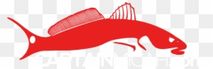 Central Florida Fishing Charters - Red Fish Logo - Free Transparent PNG ...