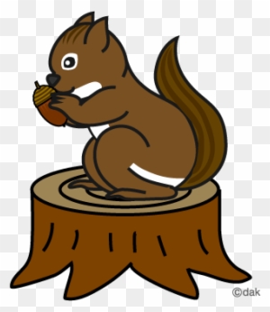 Squirrel With Acorn Clipart, Transparent PNG Clipart Images Free ...