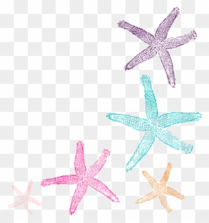Starfish Border - Free Transparent PNG Clipart Images Download
