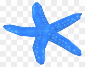 Starfish Png Image - Sea Star Png - Free Transparent PNG Clipart Images ...