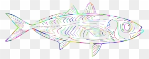 Fish Line Art 18, Buy Clip Art - Line Art - Free Transparent PNG ...