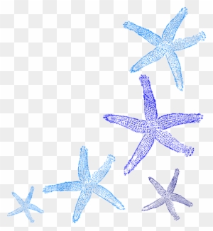 Starfish Border Clip Art