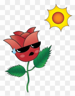 Do Not Expose Me To Direct Sunlight - Cartoon - Free Transparent PNG ...