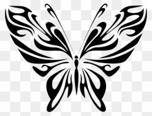 Butterfly Insect Line Art Drawing Black And White - Butterfly Line Art ...