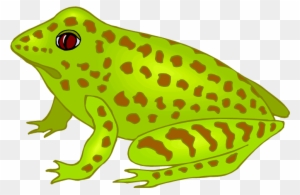 Winsome Inspiration Frog Clipart Green And Brown Spotted - Spotted Frog ...