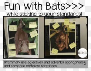 Bat Fun While Sticking To Your Standards Freebies - Carollia ...