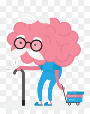 A Medical Explanation To What Happens When We Present - Old Brain ...