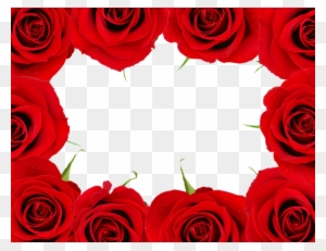 Red Rose Frame, Transparent PNG Clipart Images Free Download - ClipartMax