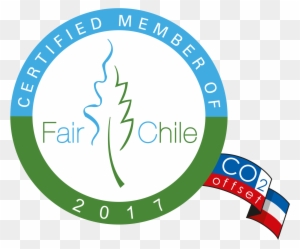 Runes Parabatai Lost The - Iratze Rune Png - Free Transparent PNG ...