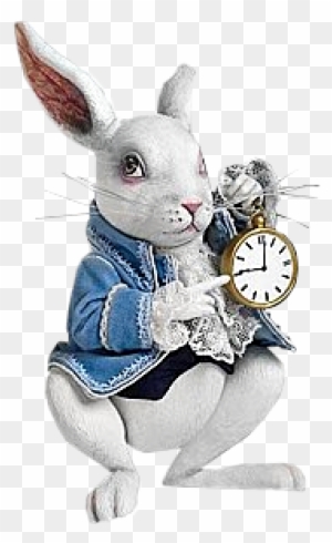 White Rabbit Alice's Adventures In Wonderland Pocket - Alice In ...