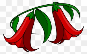 El Copihue Chileno - Copihues Dibujo - Free Transparent PNG Clipart ...