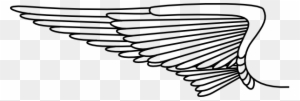 Single Wing Clipart - Free Transparent PNG Clipart Images Download