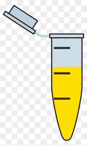 Eppendorf Tube - Free Transparent PNG Clipart Images Download