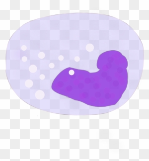 Monocyte - Monocyte - Free Transparent PNG Clipart Images Download