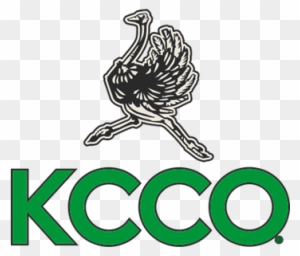 Prev - Kcco - Free Transparent PNG Clipart Images Download