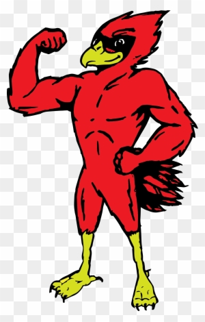 Flexing Muscular Cardinal Drawing