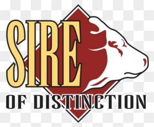 Houston Livestock Show And Rodeo - Free Transparent PNG Clipart Images ...