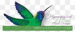 Q'enti Wasi House Of The Hummingbird - Tribal Hummingbird Tattoo - Free ...