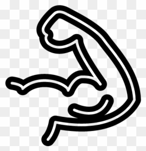 Flexing - Png - Muscle Arm - Free Transparent PNG Clipart Images Download