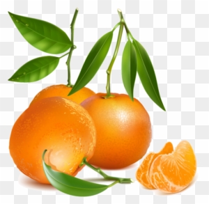 Clementine Clipart, Transparent PNG Clipart Images Free Download ...
