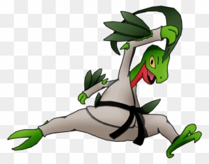 Black Belt Grovyle By Pokemon-traceur - Pokemon Black Belt - Free ...