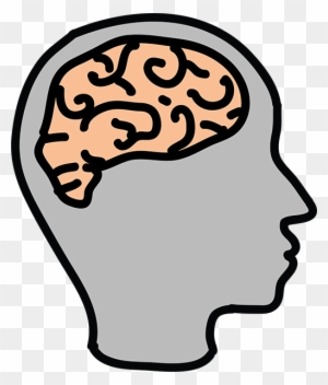 Big Brain Cartoons Clipart