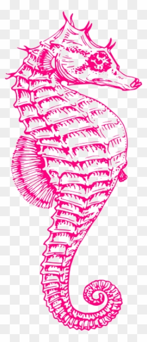Seahorse Clipart, Transparent PNG Clipart Images Free Download - ClipartMax