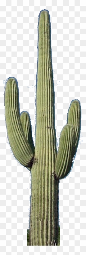 Saguaro Cactus Clip Art