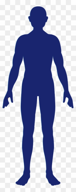 Conditions And Treatments - Human Body - Free Transparent PNG Clipart ...