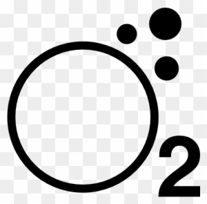 Human Hair Outline Shape Vector - Hair Outline - Free Transparent PNG ...