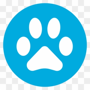 Universum K9 - Twitter Icon For Email Signature - Free Transparent PNG ...